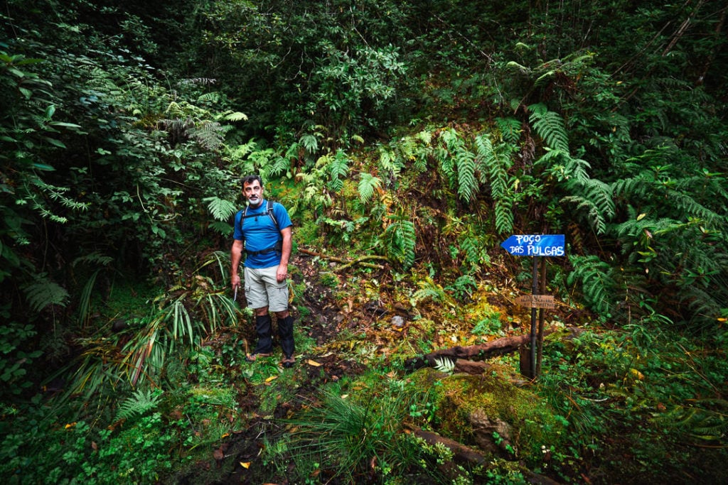 Hiking the Poço Das Pulgas Waterfall Trail on Madeira Island