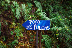 Hiking the Poço Das Pulgas Waterfall Trail on Madeira Island