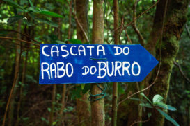 Hiking the Poço Das Pulgas Waterfall Trail on Madeira Island