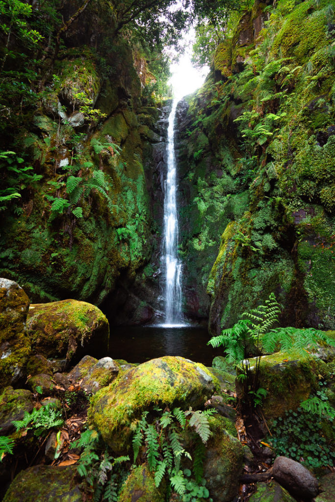 POÇO DAS PULGAS WATERFALL HIKE ON MADEIRA - Journey Era