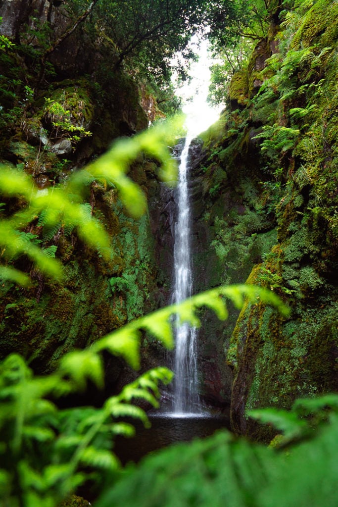POÇO DAS PULGAS WATERFALL HIKE ON MADEIRA - Journey Era