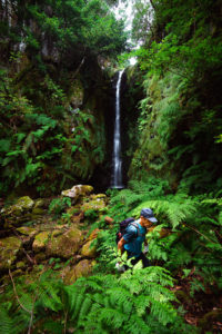 Hiking the Poço Das Pulgas Waterfall Trail on Madeira Island