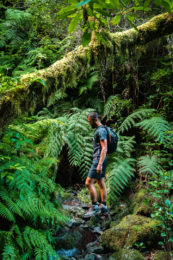Hiking the Poço Das Pulgas Waterfall Trail on Madeira Island