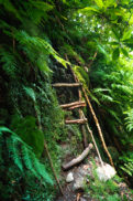 Hiking the Poço Das Pulgas Waterfall Trail on Madeira Island