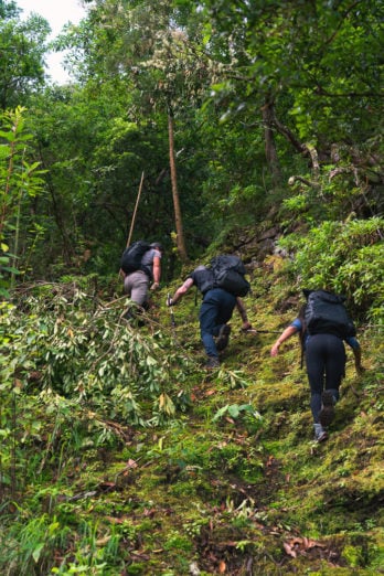 Hiking to Pico Cánario on Madeira Island