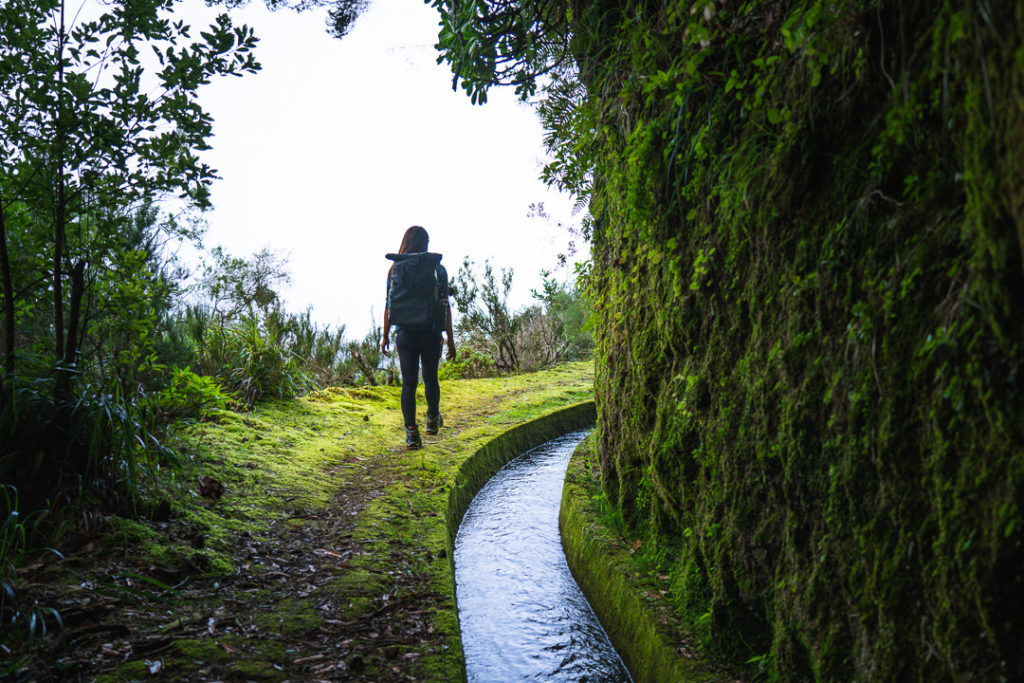 Hiking to Pico Cánario on Madeira Island