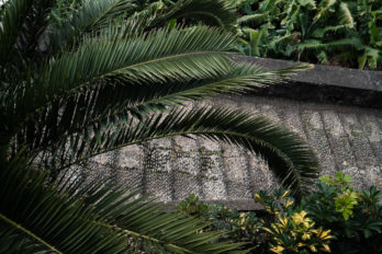 Caminho Real 23: The 'Royal Path' Of Madeira Island