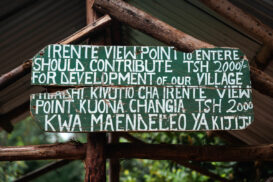 Hiking to Irente Viewpoint in Lushoto, Usambara Mountains