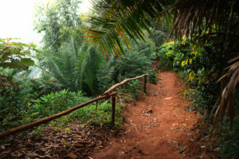 Hiking to Kisasa Waterfall in Usambara, Tanzania