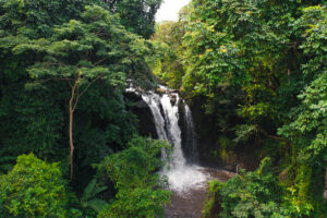 Hiking the Marangu Waterfalls Trail in Tanzania