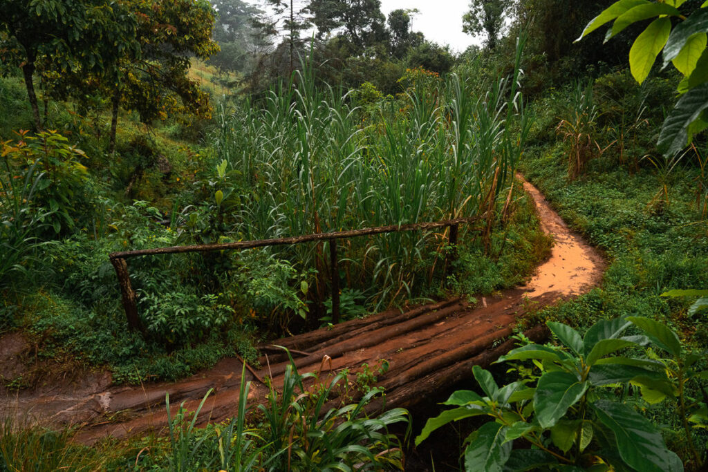 Materuni Waterfall Hike & Coffee Tour Near Moshi, Tanzania