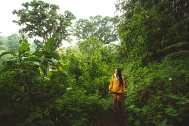 Mount Meru Waterfall Hike (Napuru Waterfall) In Tanzania