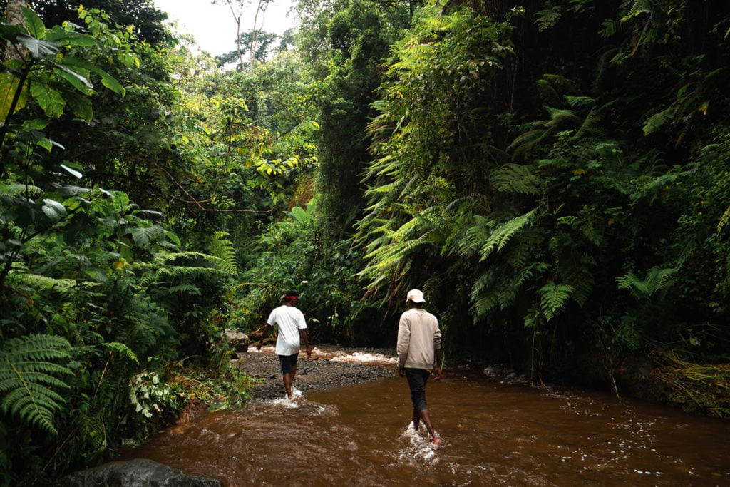 Mount Meru Waterfall Hike (Napuru Waterfall) In Tanzania