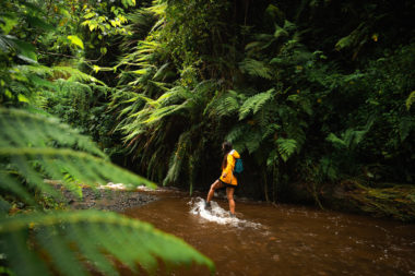 Mount Meru Waterfall Hike (Napuru Waterfall) In Tanzania