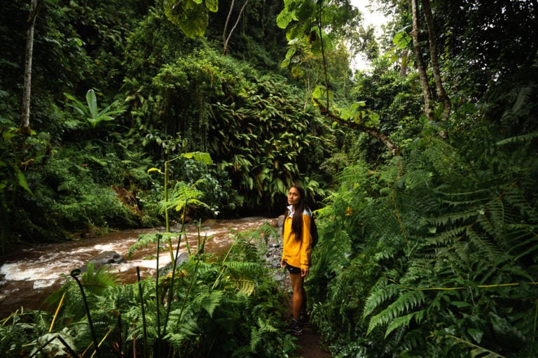 Mount Meru Waterfall Hike (Napuru Waterfall) In Tanzania