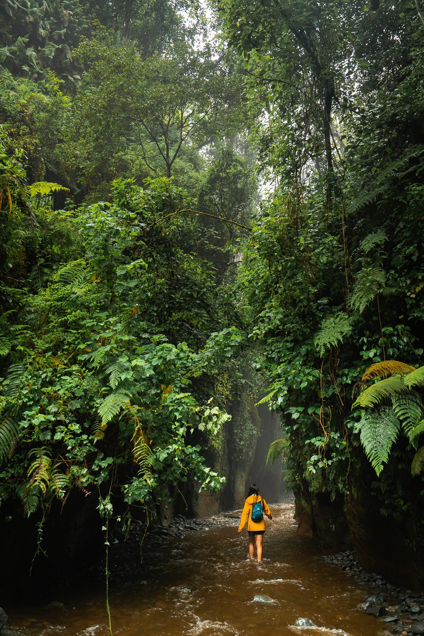 Mount Meru Waterfall Hike (Napuru Waterfall) In Tanzania