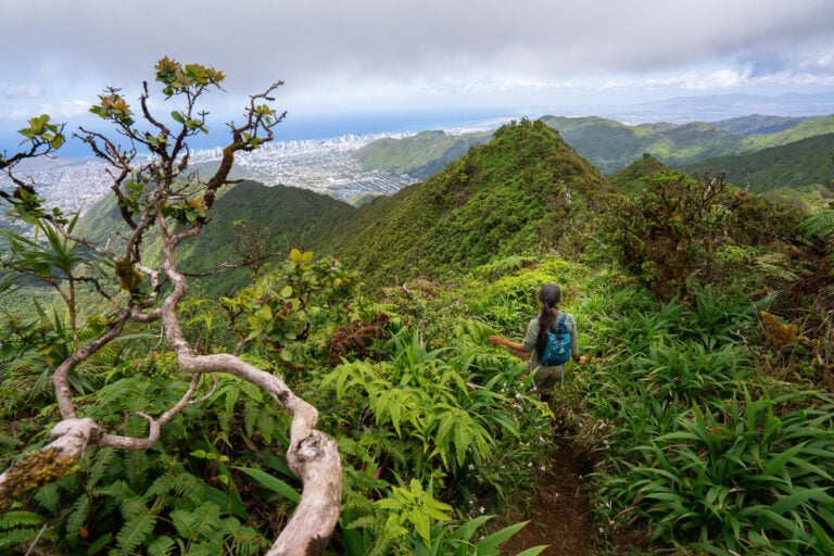 Hiking the Waʻahila Ridge Trail to Mt. Olympus on Oʻahu, Hawaiʻi