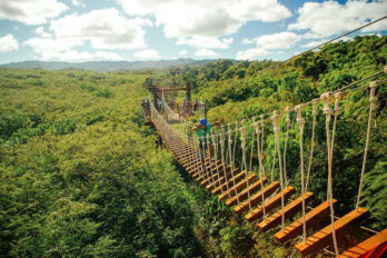 The Oahu Zipline Guide: 4 Best Zipline Tours on Oahu, Hawaii