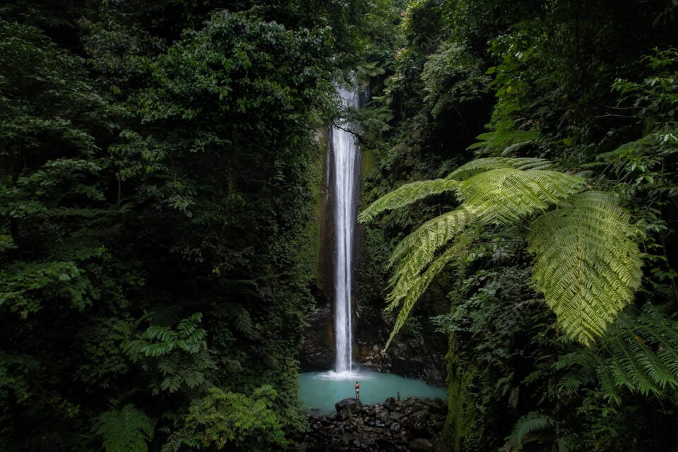 250 Waterfall Quotes and Captions for Instagram