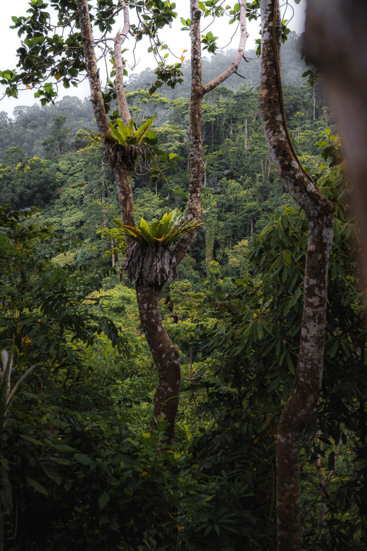 Casaroro Falls In Valencia, Negros: The Ultimate Guide
