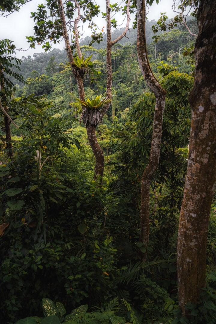Casaroro Falls In Valencia, Negros: The Ultimate Guide
