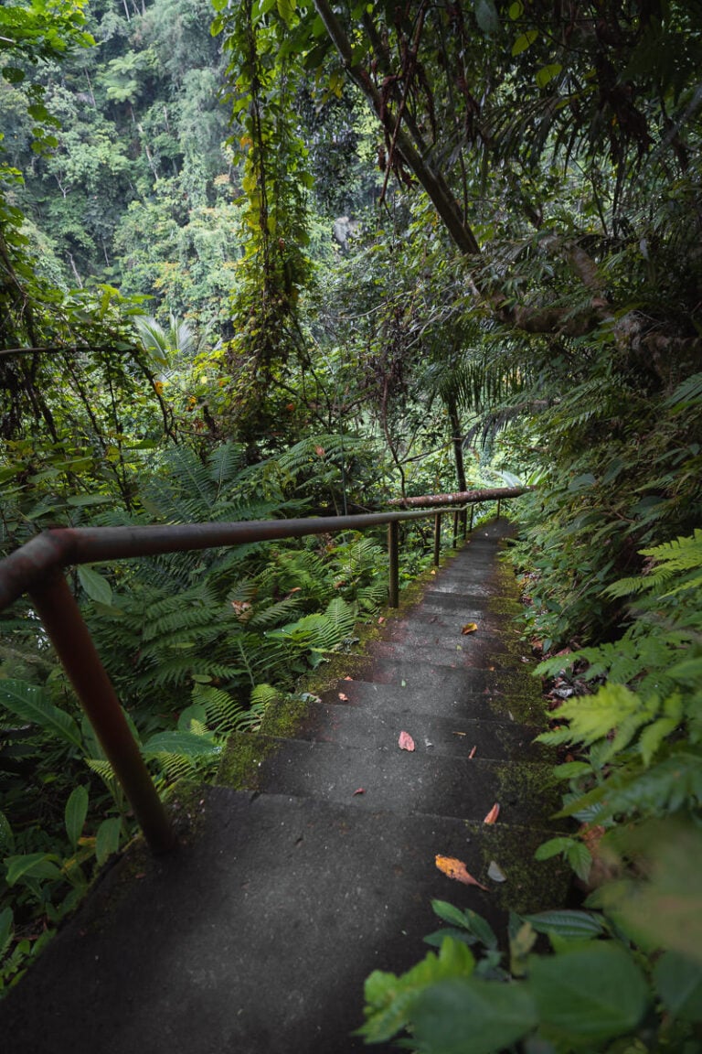 Casaroro Falls In Valencia, Negros: The Ultimate Guide
