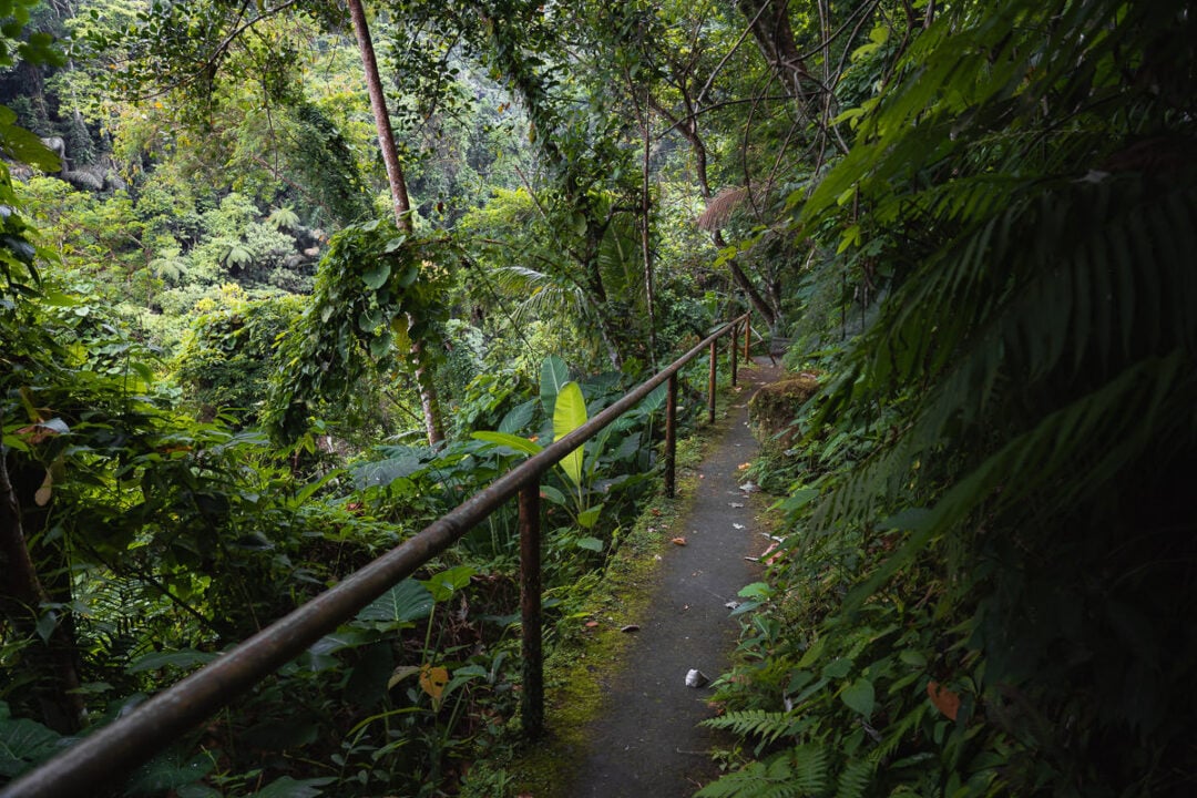 Casaroro Falls In Valencia, Negros: The Ultimate Guide