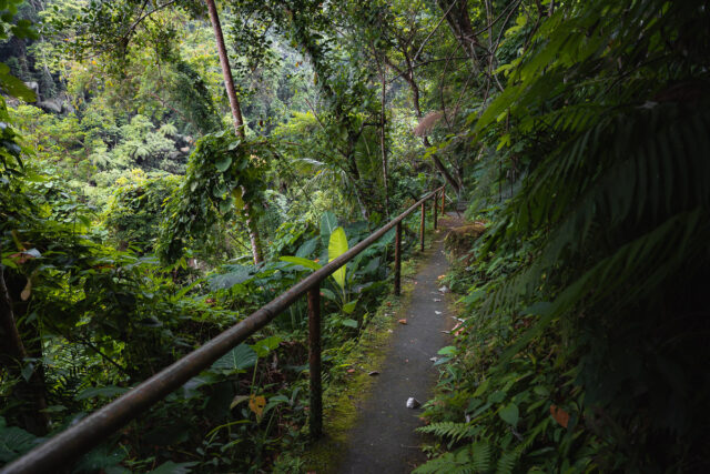 Casaroro Falls In Valencia, Negros: The Ultimate Guide