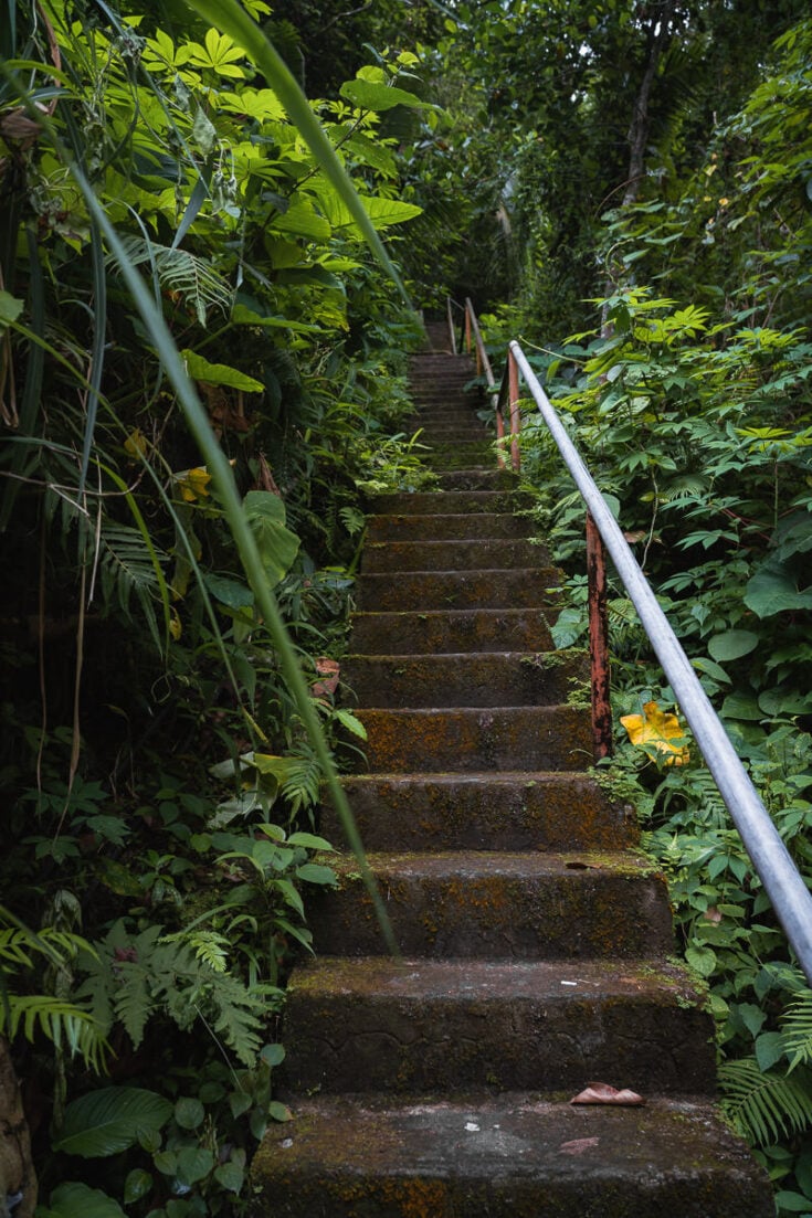 Casaroro Falls In Valencia, Negros: The Ultimate Guide