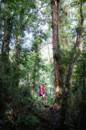 MOUNT TALINIS HIKE ON NEGROS ISLAND - Journey Era