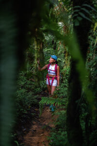MOUNT TALINIS HIKE ON NEGROS ISLAND - Journey Era