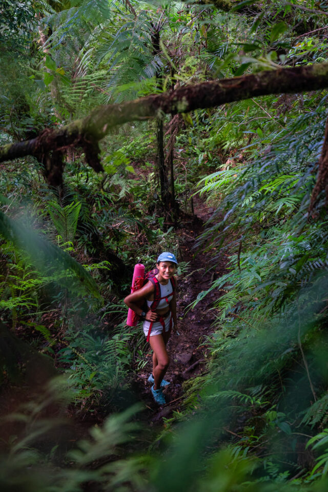 MOUNT TALINIS HIKE ON NEGROS ISLAND - Journey Era