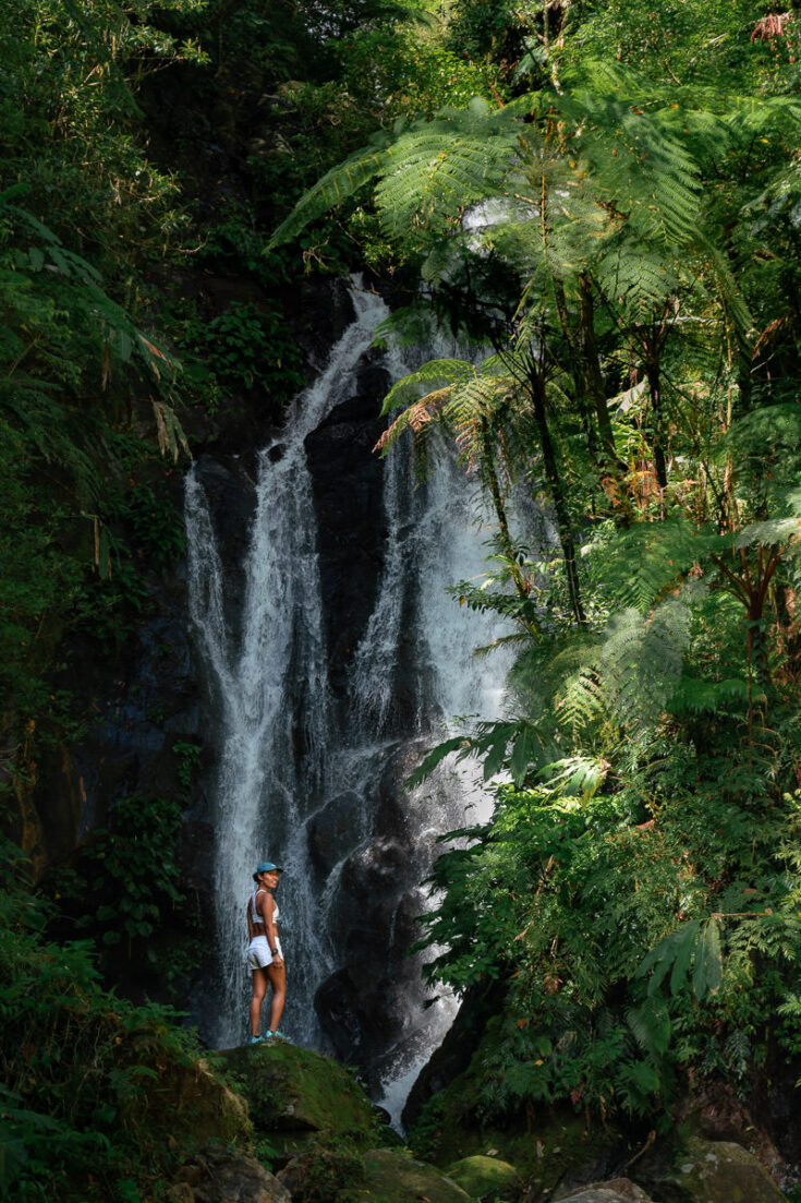 Mount Talinis Hike on Negros Island: The Hiker's Guide