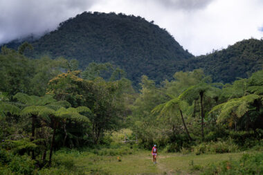 Mount Talinis Hike on Negros Island: The Hiker's Guide