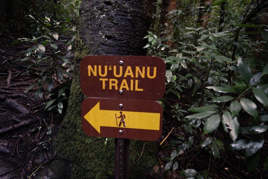Hiking the Judd Trail & Jackass Ginger Pool on Oʻahu, Hawaiʻi