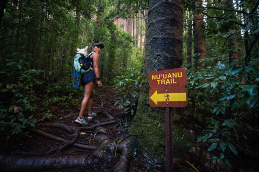 Hiking the Judd Trail & Jackass Ginger Pool on Oʻahu, Hawaiʻi
