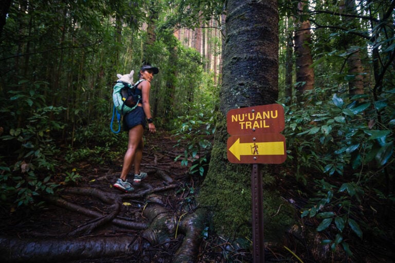 Hiking the Judd Trail & Jackass Ginger Pool on Oʻahu, Hawaiʻi