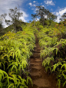 Hiking The Kuliouou Ridge Trail On Oahu, Hawaii