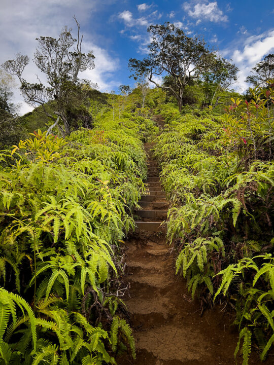 HIKING THE KULIOUOU RIDGE TRAIL ON OAHU - Journey Era