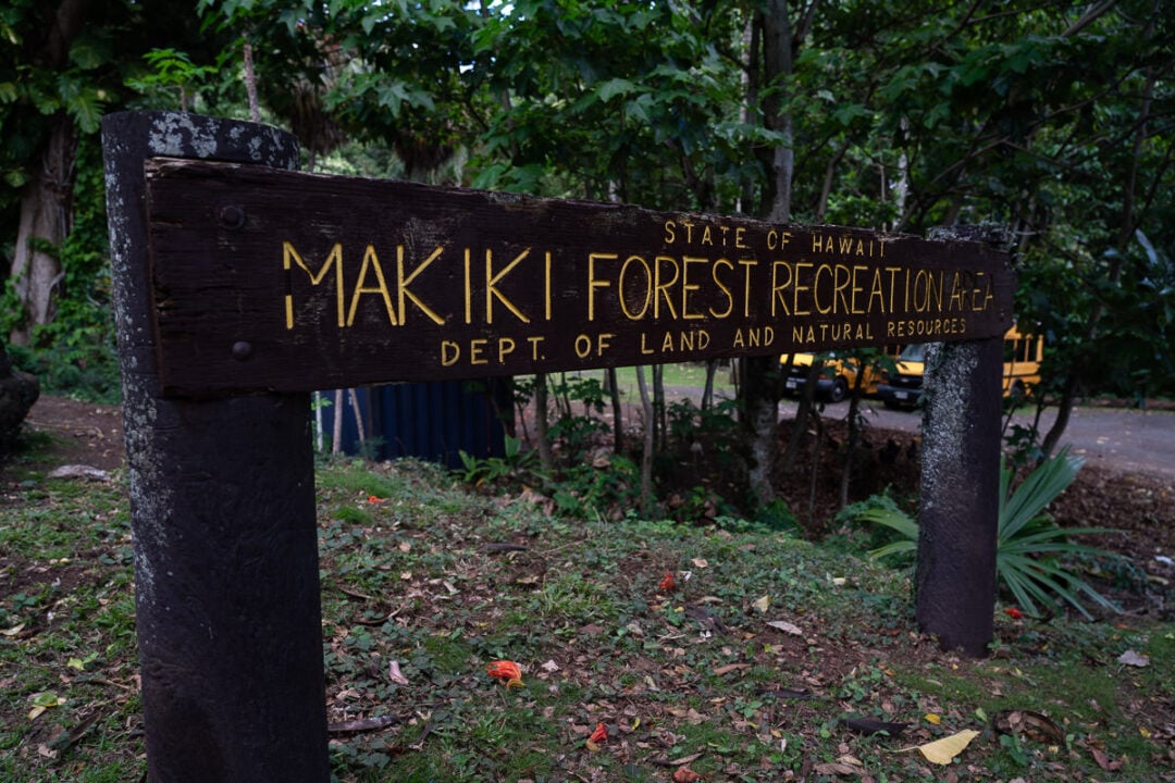 Makiki Valley Loop Trail On Oahu, Hawaii