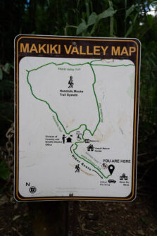 Hiking the Makiki Valley Loop Trail on Oʻahu, Hawaiʻi