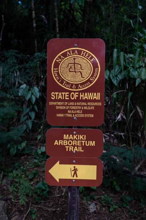 Hiking the Makiki Valley Loop Trail on Oʻahu, Hawaiʻi