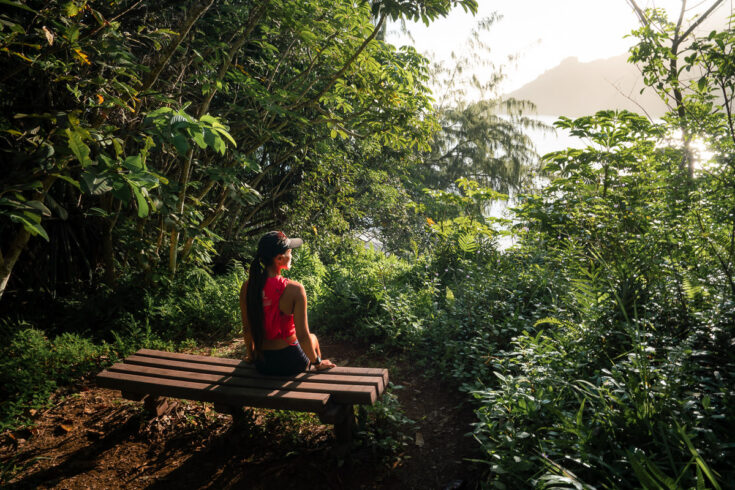 Hiking the Pu'u Piei Makai Trail on Oʻahu, Hawaiʻi