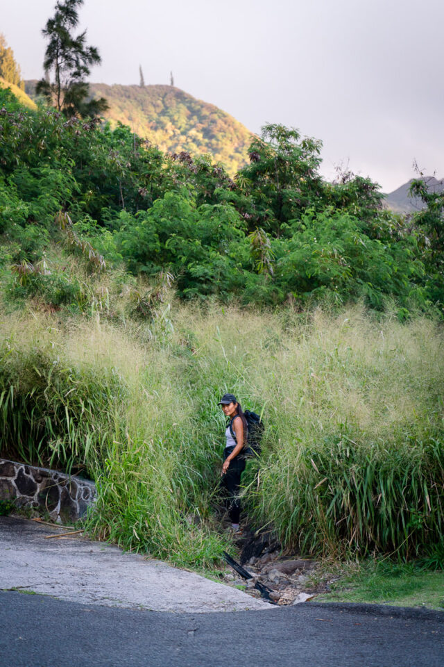 Hiking The Wailupe Loop Trail on Oʻahu, Hawaiʻi