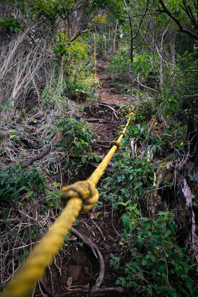 Hiking The Wailupe Loop Trail on Oʻahu, Hawaiʻi
