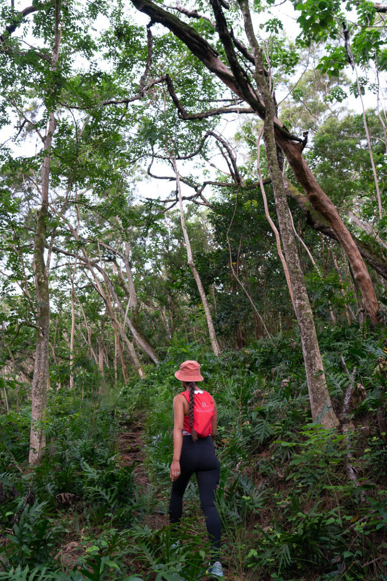 Hiking The Hau'ula Loop Trail On Oahu, Hawaii