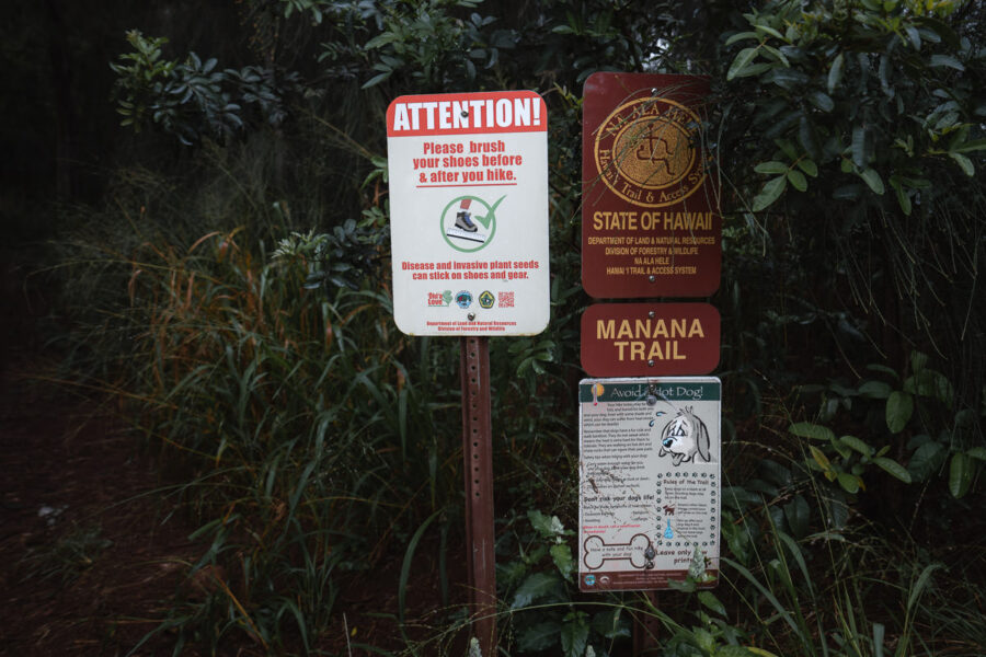 Hiking The Manana Ridge Trail On Oahu, Hawaii