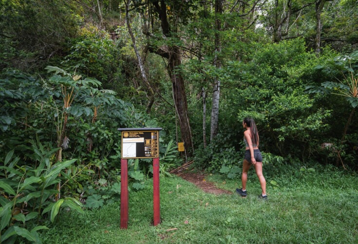Hiking the Manoa Cliff Trail on Oʻahu, Hawaiʻi