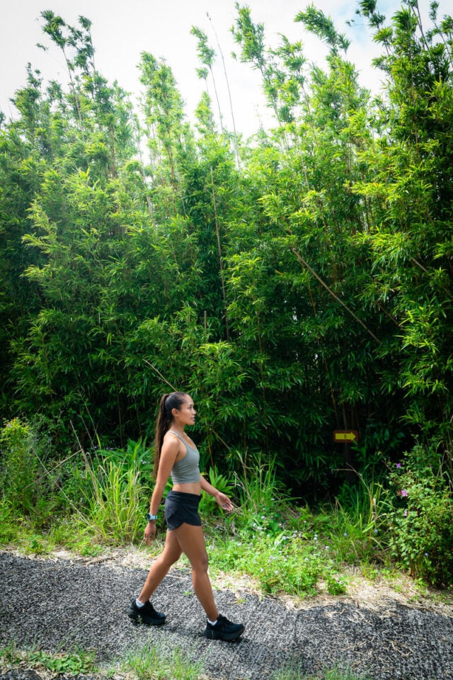 Hiking the Manoa Cliff Trail on Oʻahu, Hawaiʻi