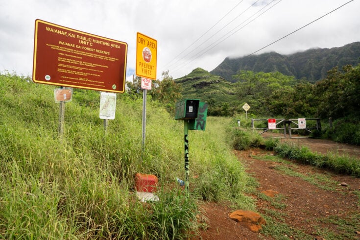 Mount Ka'ala Hike To The Highest Point On Oahu, Hawaii